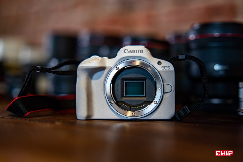 Test Canon EOS R50 – mały aparat dla początkujących